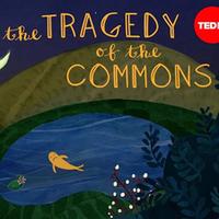 Tragedy Of The Commons Fish
